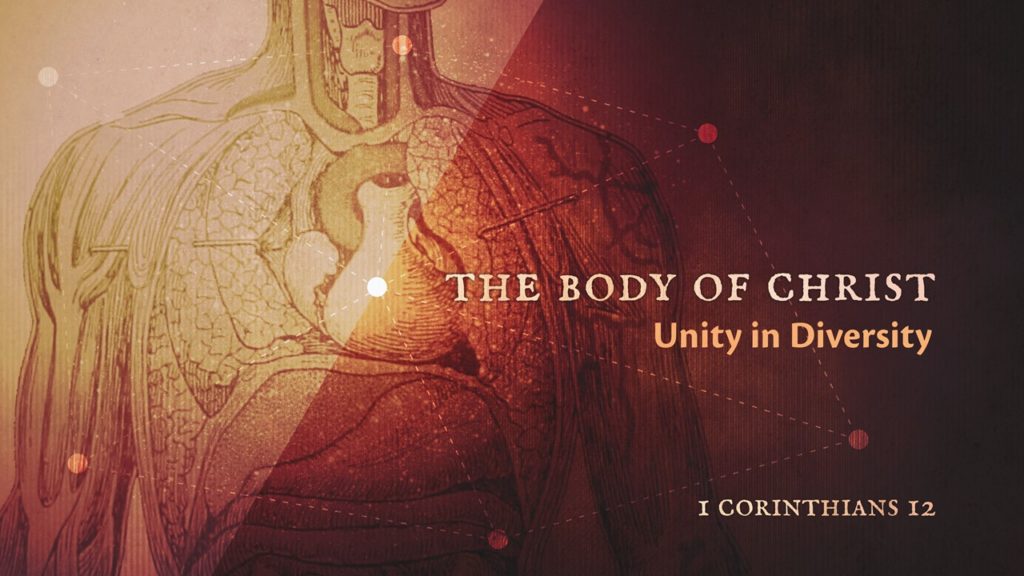 UNITY OF THE BODY: CHAPTER 5 - iGO Church - International Gospel ...